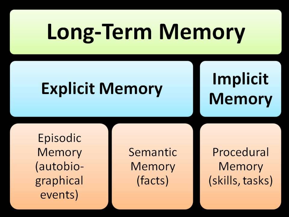 The Truth about Short-Term Memory | Heal With Ahantaa